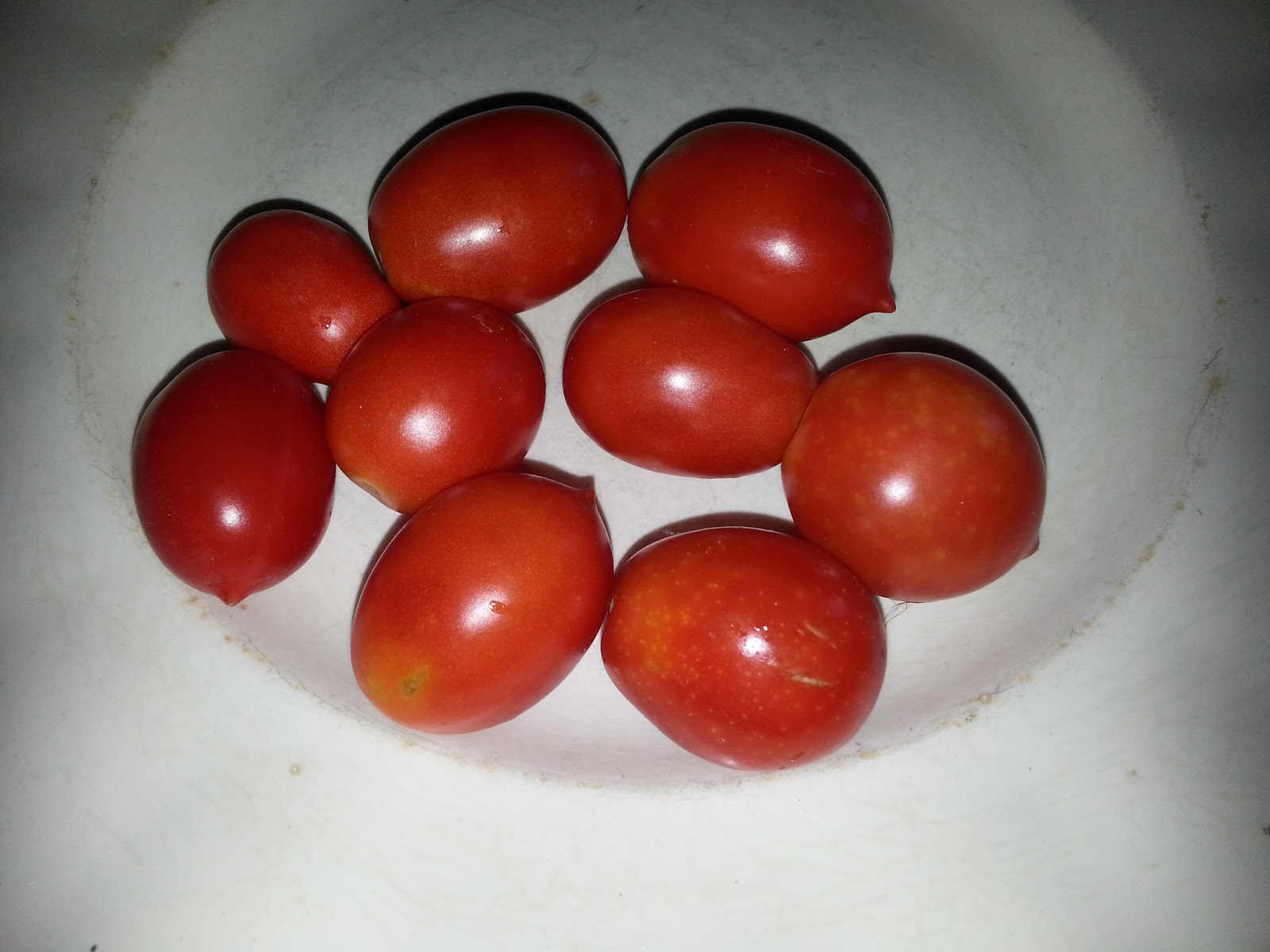 Jardineria Natural. Un Jardí per Menjar-se'l.: 08.2013